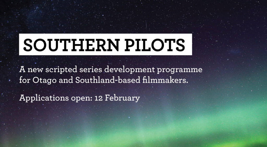 Southern Pilots Application Requirements | Script to Screen