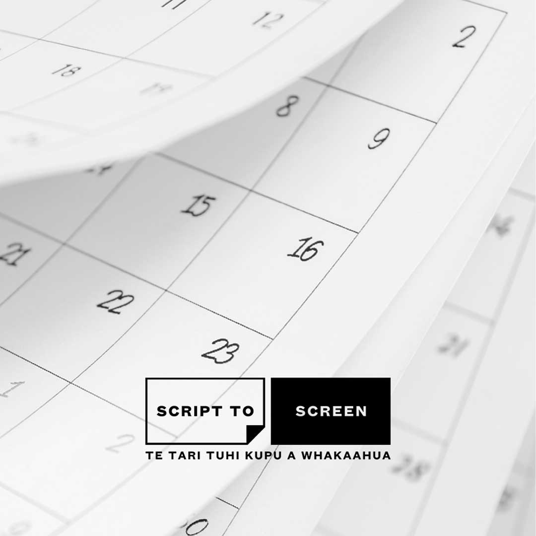 UPCOMING PROGRAMMES & EVENTS 2024/2025 | Script to Screen