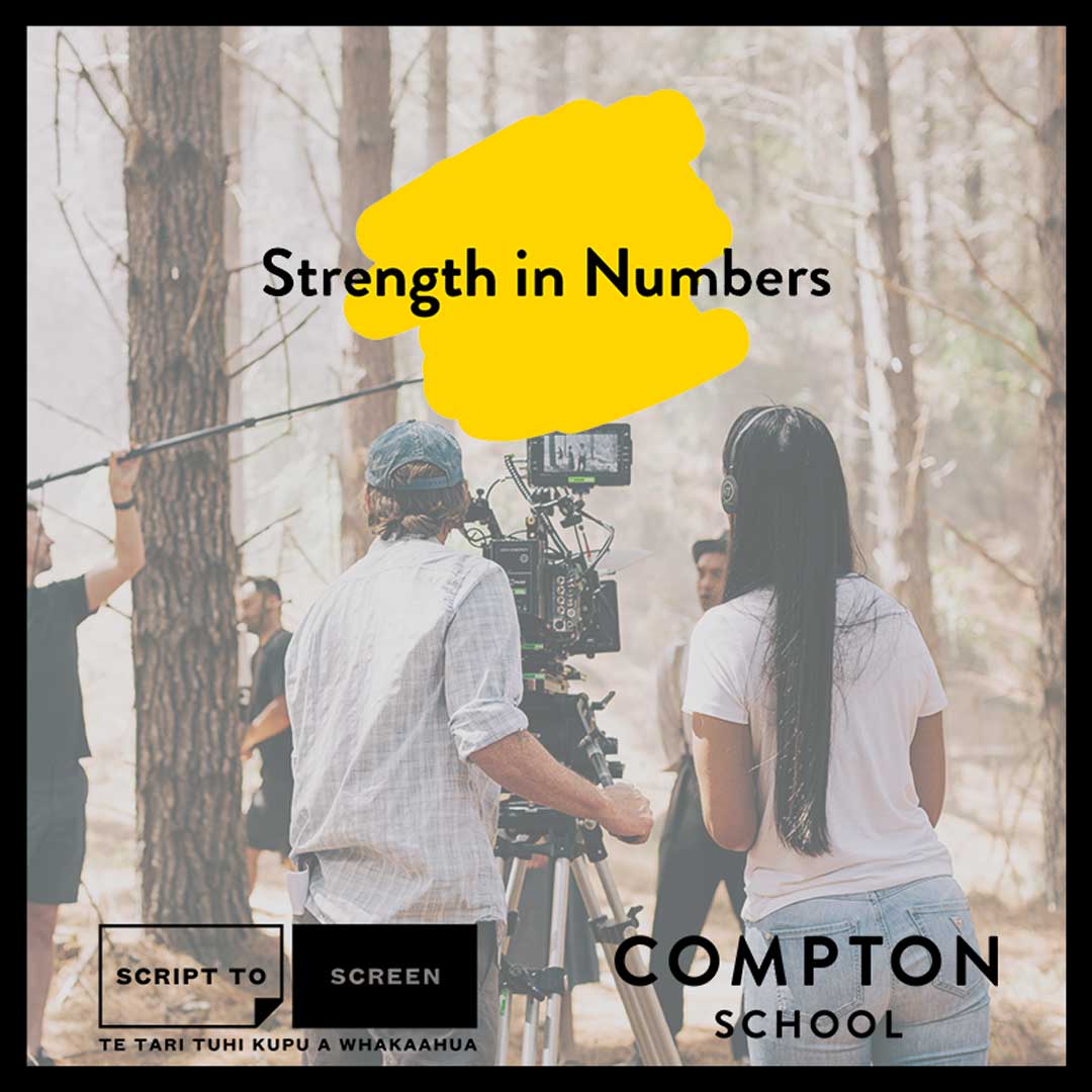 Strength In Numbers Application Requirements | Script to Screen